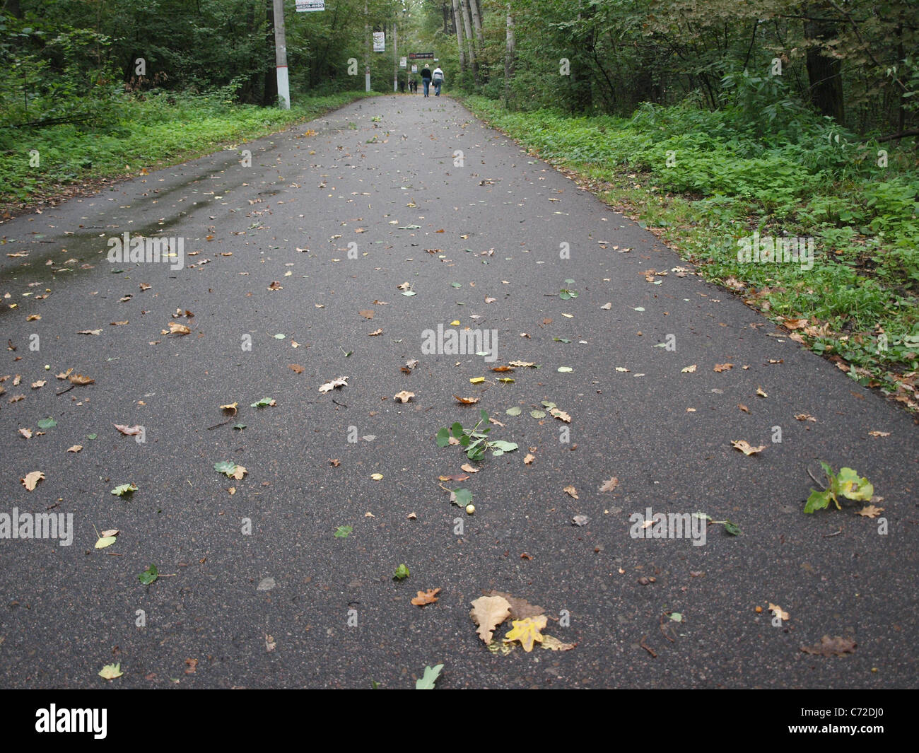 After an autumn rain Stock Photo - Alamy