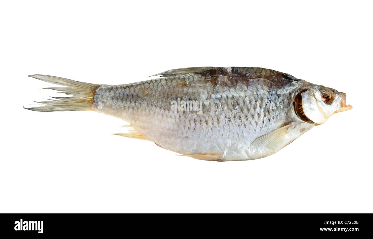 Dried fish isolated on white background Stock Photo - Alamy