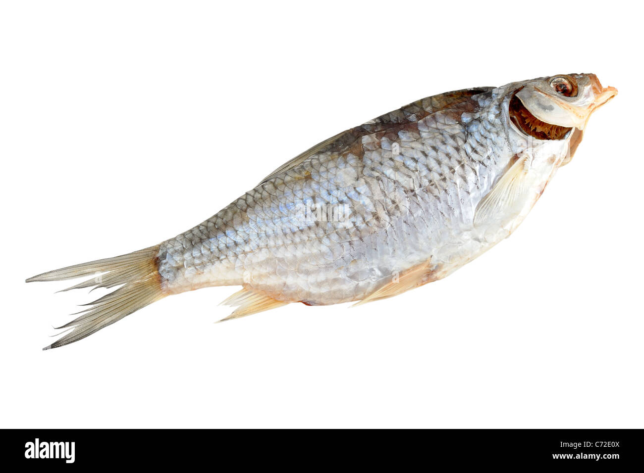 Dried fish isolated on white background Stock Photo - Alamy