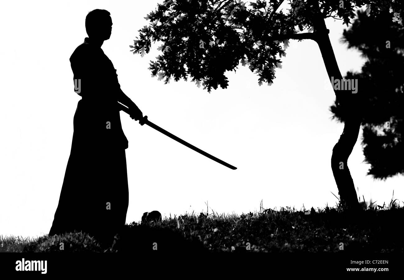 Karate shadow hi-res stock photography and images - Alamy