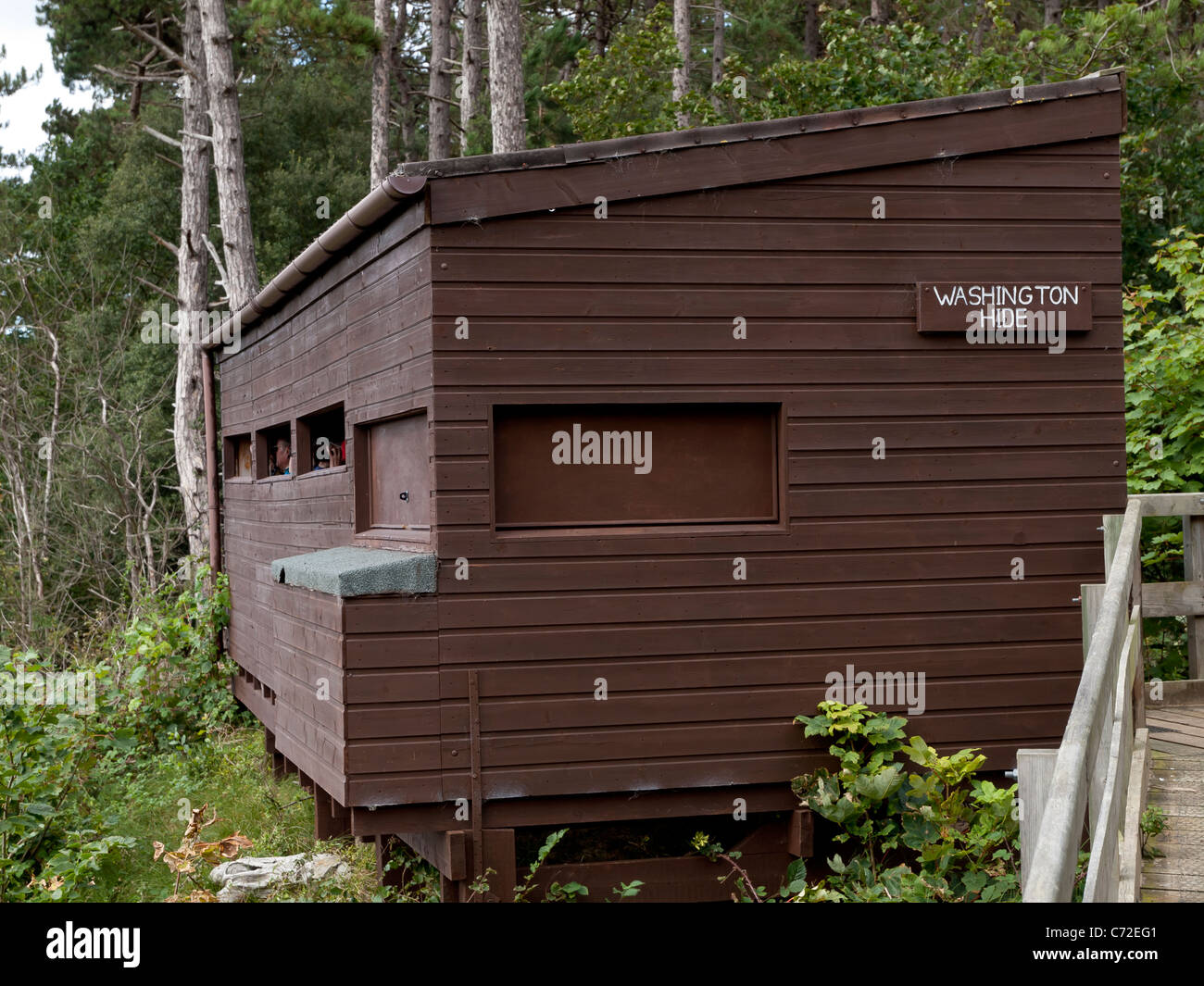 National pastime hi-res stock photography and images - Alamy