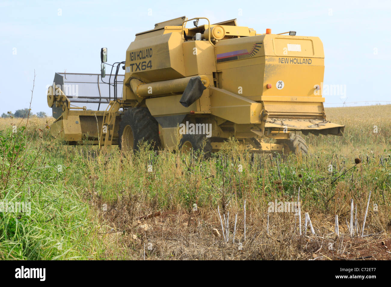 Combine harvester collecting sun flowers in France Stock Photo - Alamy