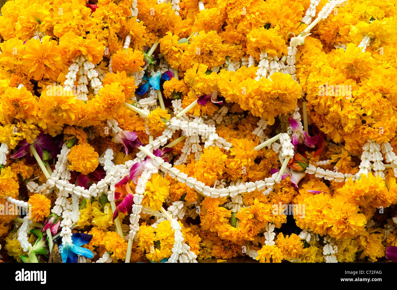 buddhist flower offering in thailand temple Stock Photo - Alamy