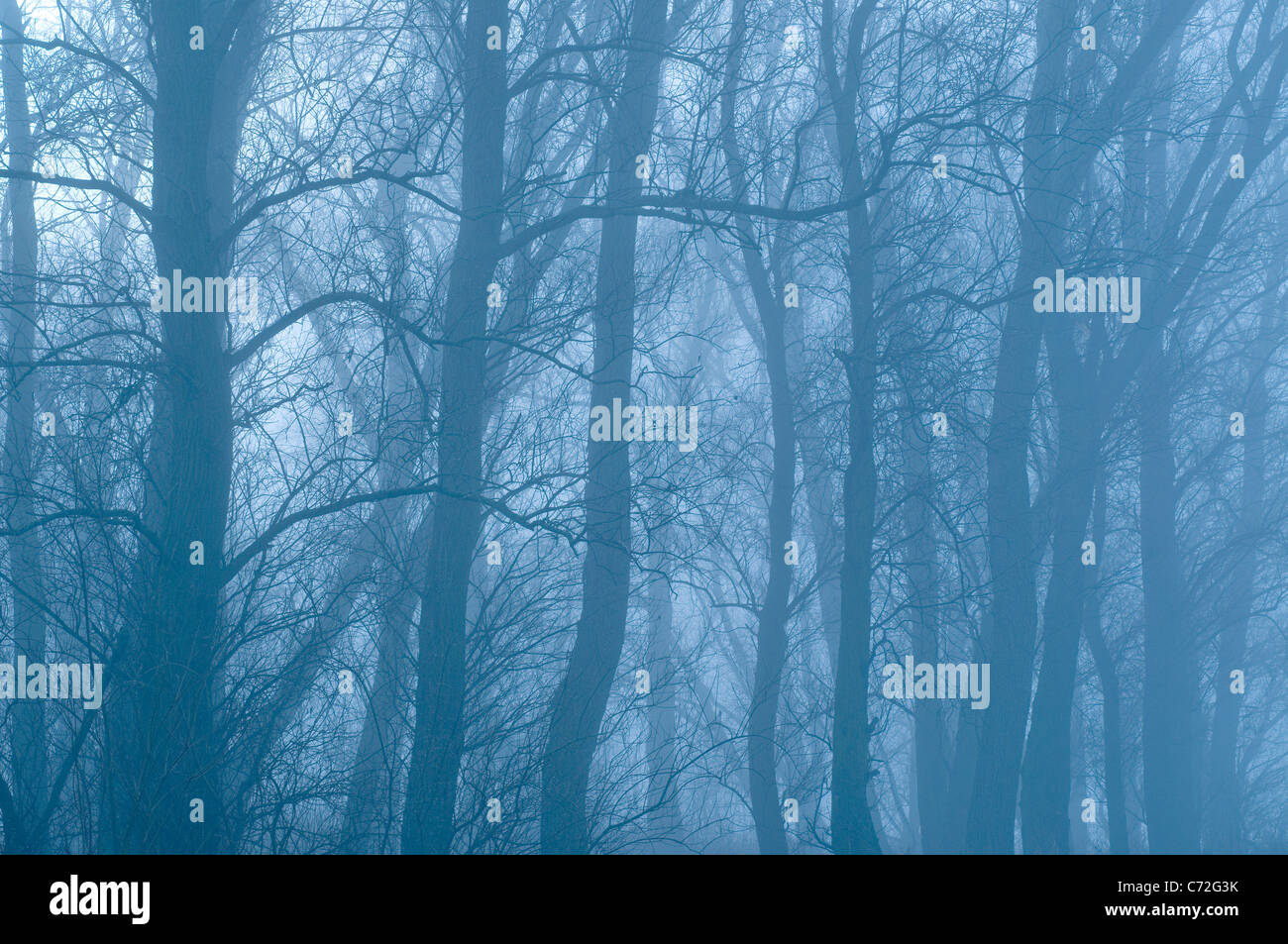 Mist texture hi-res stock photography and images - Alamy