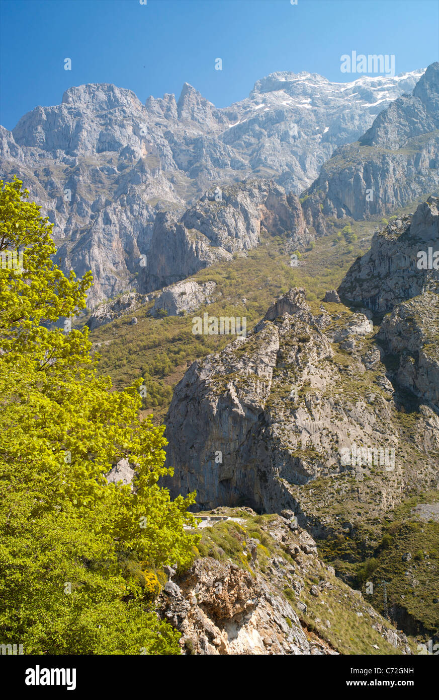 Picos hi-res stock photography and images - Alamy