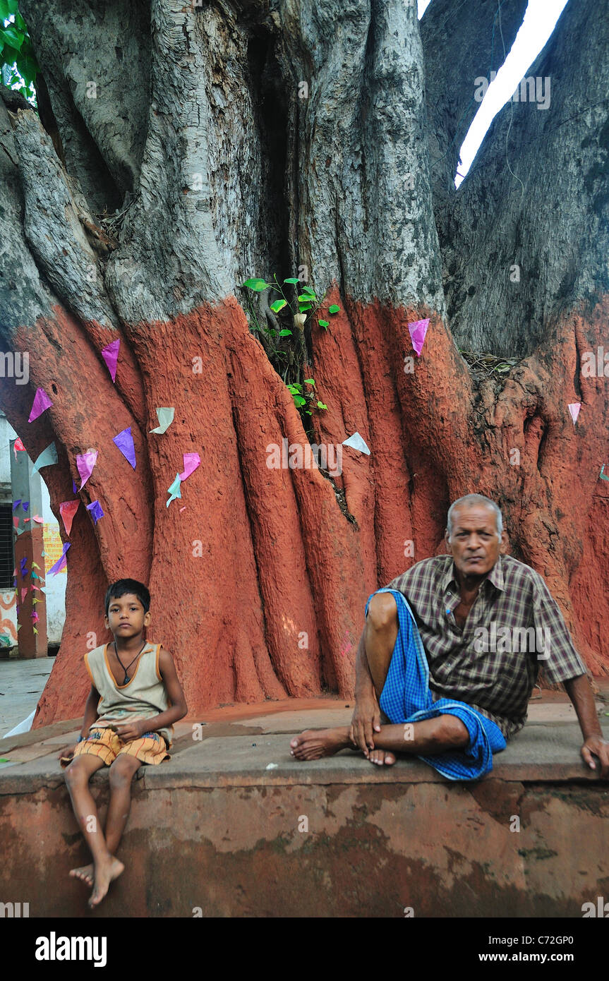 Boy sitting under big tree hi-res stock photography and images - Alamy