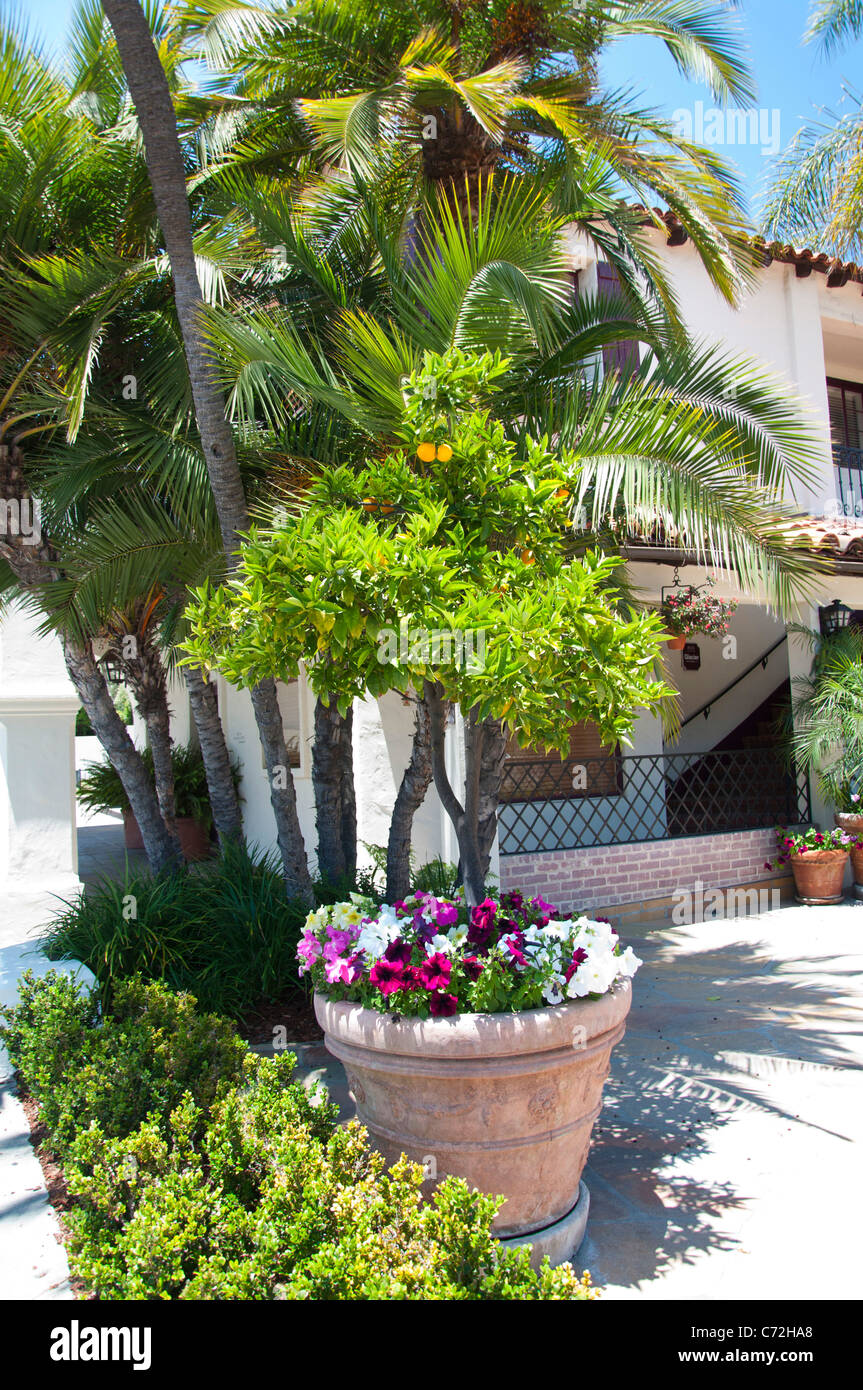 Decorative orange hi-res stock photography and images - Alamy