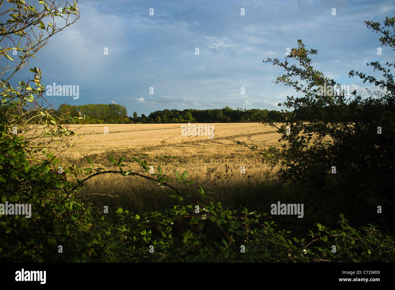 English summer time hi-res stock photography and images - Alamy