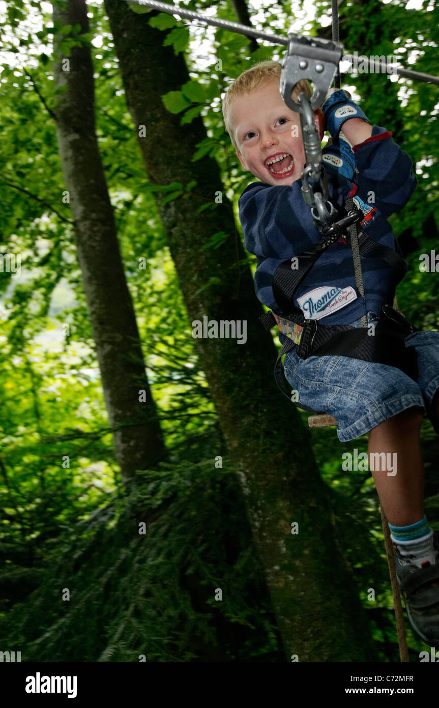 Young flying fox hi-res stock photography and images - Alamy