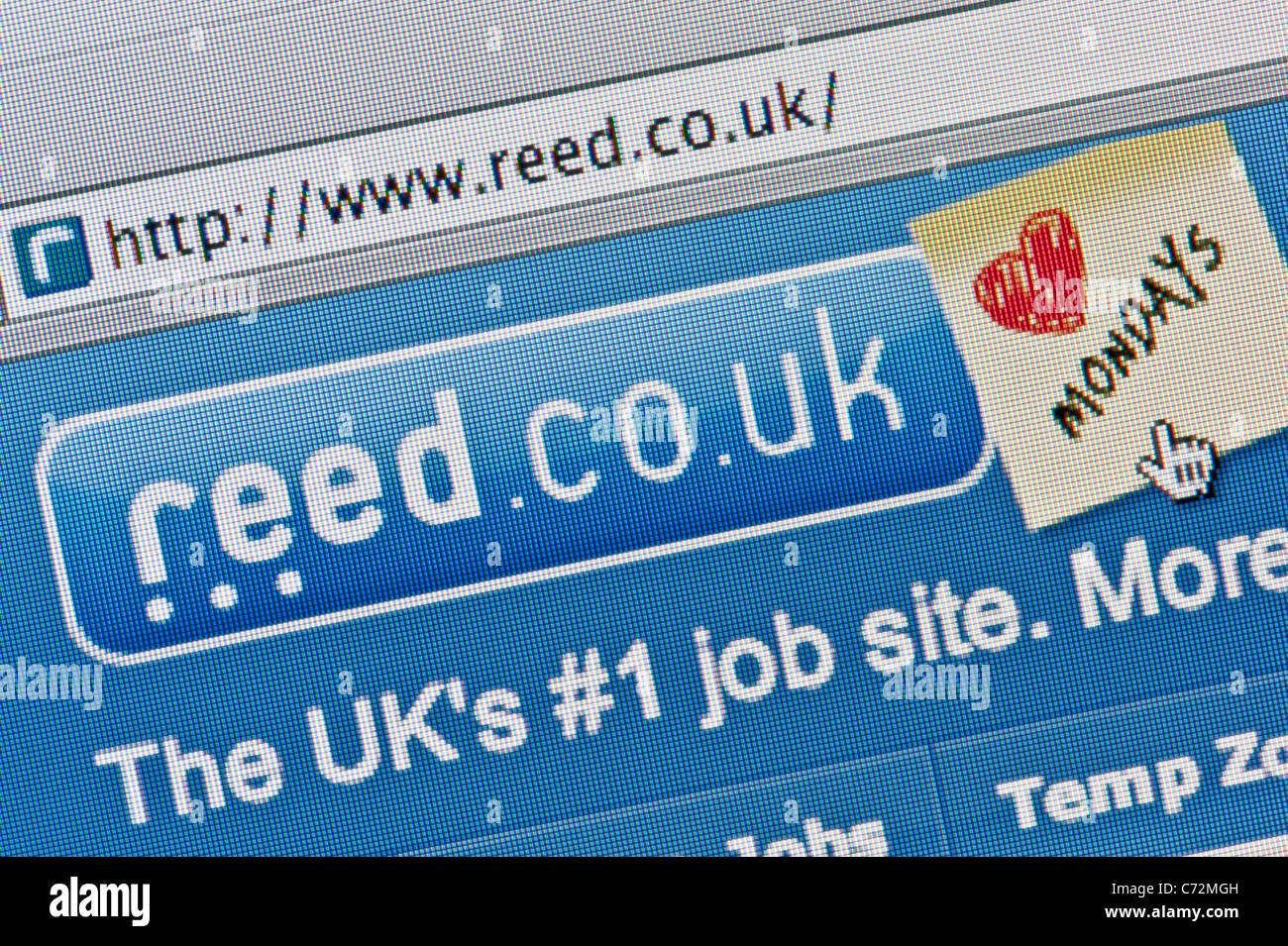 Reed screen hi-res stock photography and images - Alamy