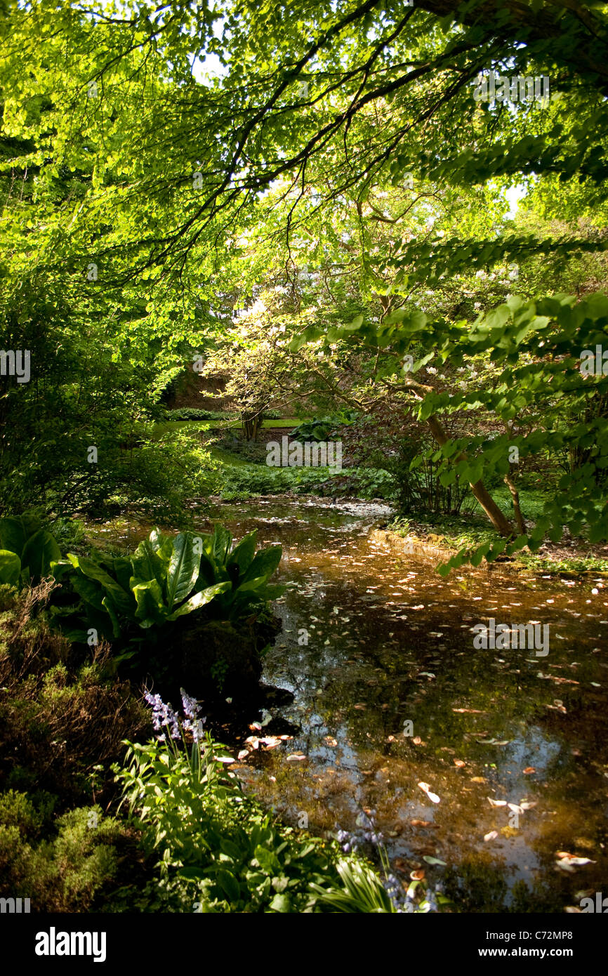 Shady green earth water hi-res stock photography and images - Alamy