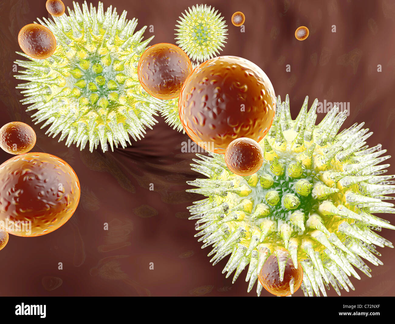 Viruses versus immune system Stock Photo - Alamy