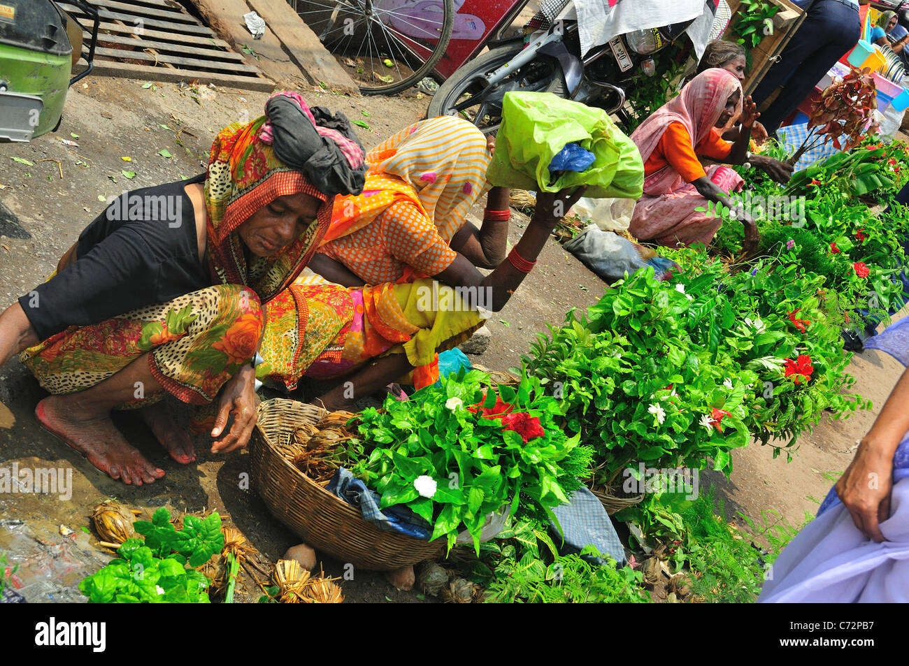 Women selling plants at the street vegetable market near the Ganges ...