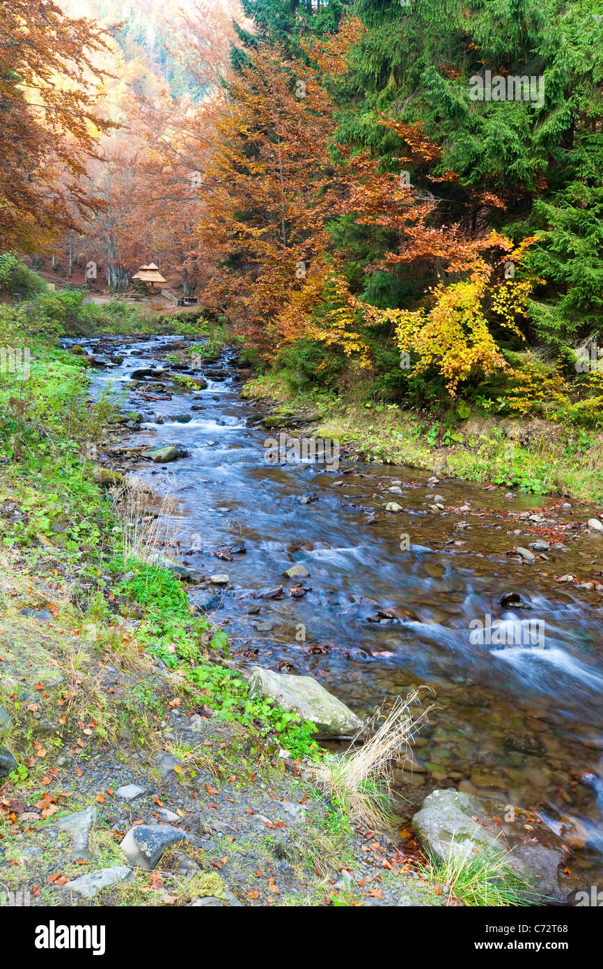 Rocky Stream, Running Through Autumn Mountain Forest Stock Photo - Alamy