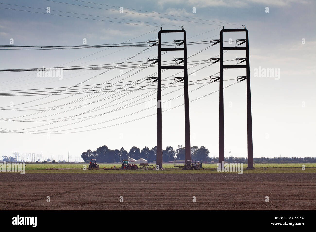 Power lines farm hi-res stock photography and images - Alamy