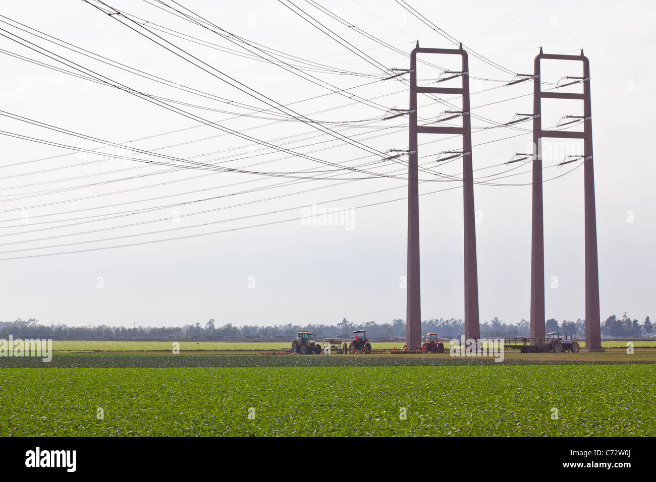 Power lines farm hi-res stock photography and images - Alamy