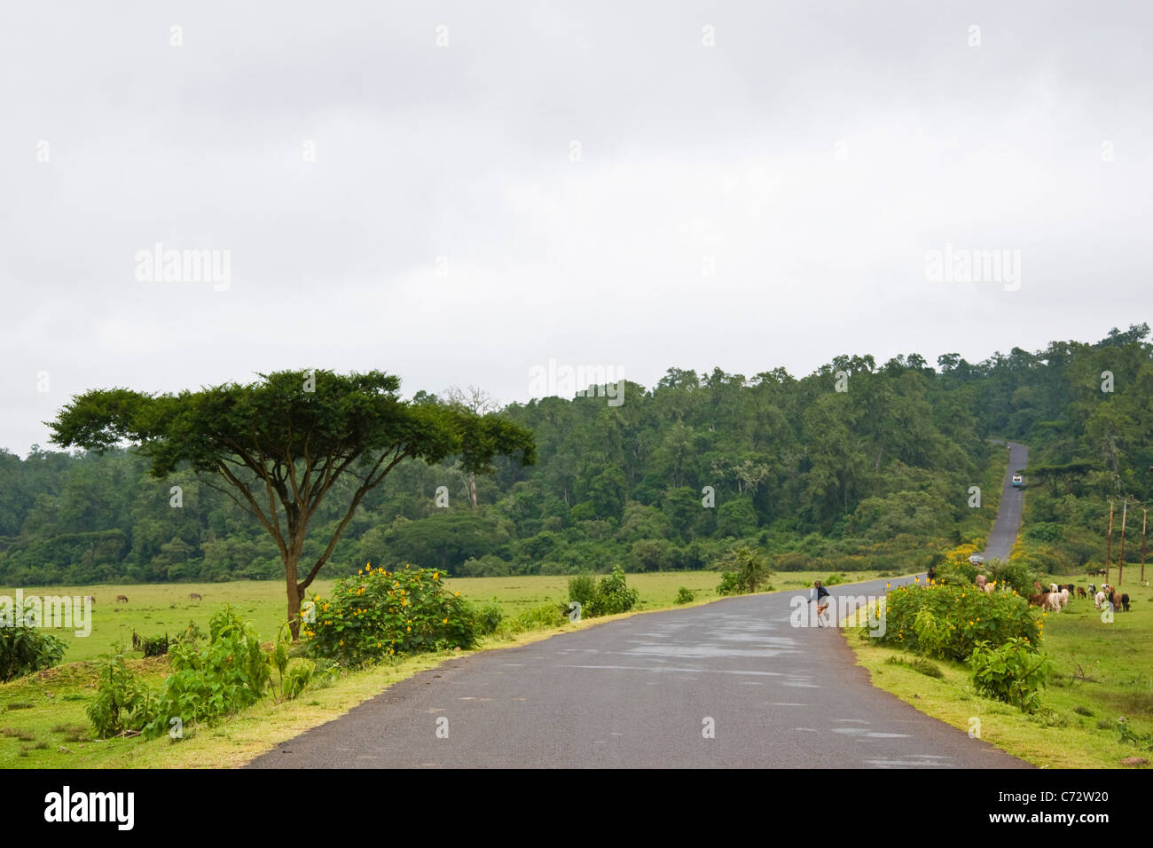 Surrounding of awasa hi-res stock photography and images - Alamy