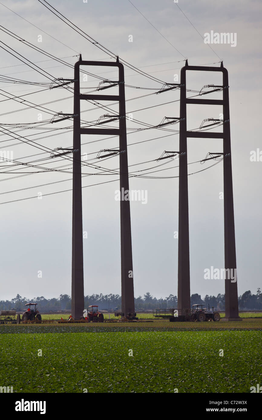 Power lines over a farm field in Ventura California Stock Photo - Alamy