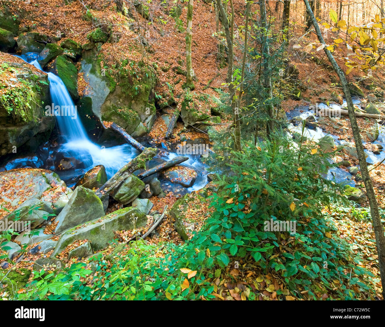 Waterfalls on Rocky Stream, Running Through Autumn Mountain Forest ...