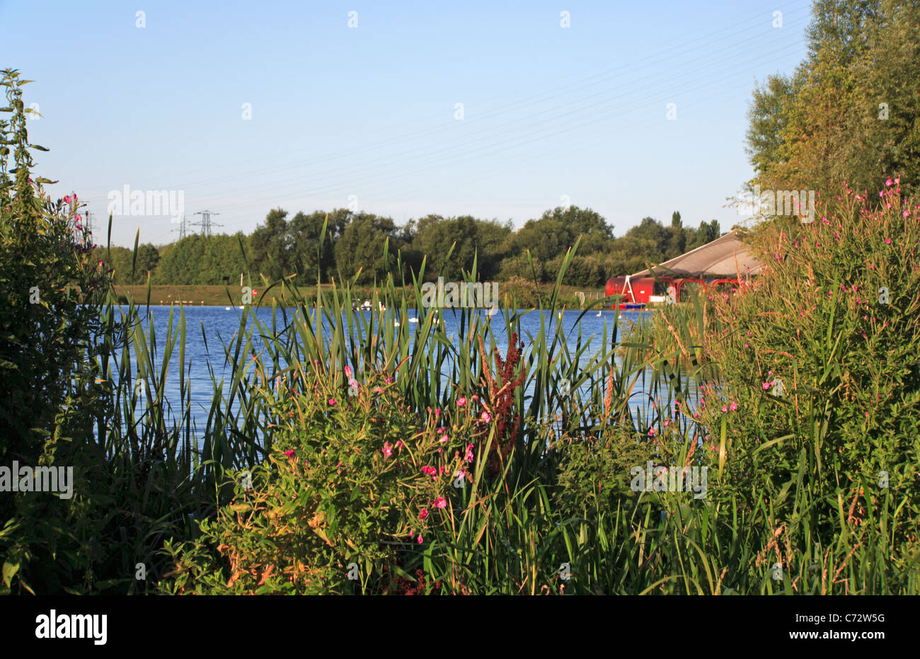 Whitlingham Great Broad viewed from the circular walk at Whitlingham ...