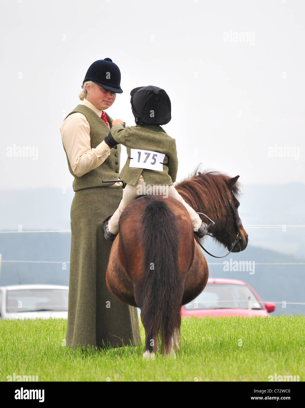 Show pony hi-res stock photography and images - Alamy