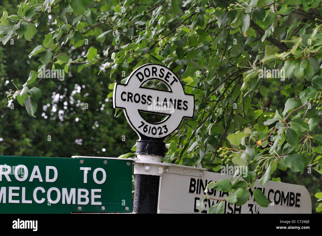 The top of a traditional Dorset finger post UK Stock Photo - Alamy