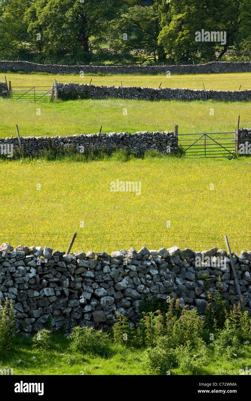 The dales at littondale hi-res stock photography and images - Alamy