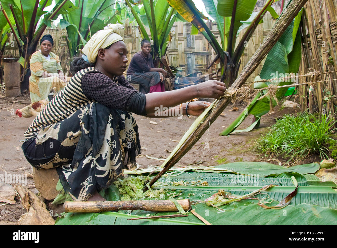 False banana hi-res stock photography and images - Alamy