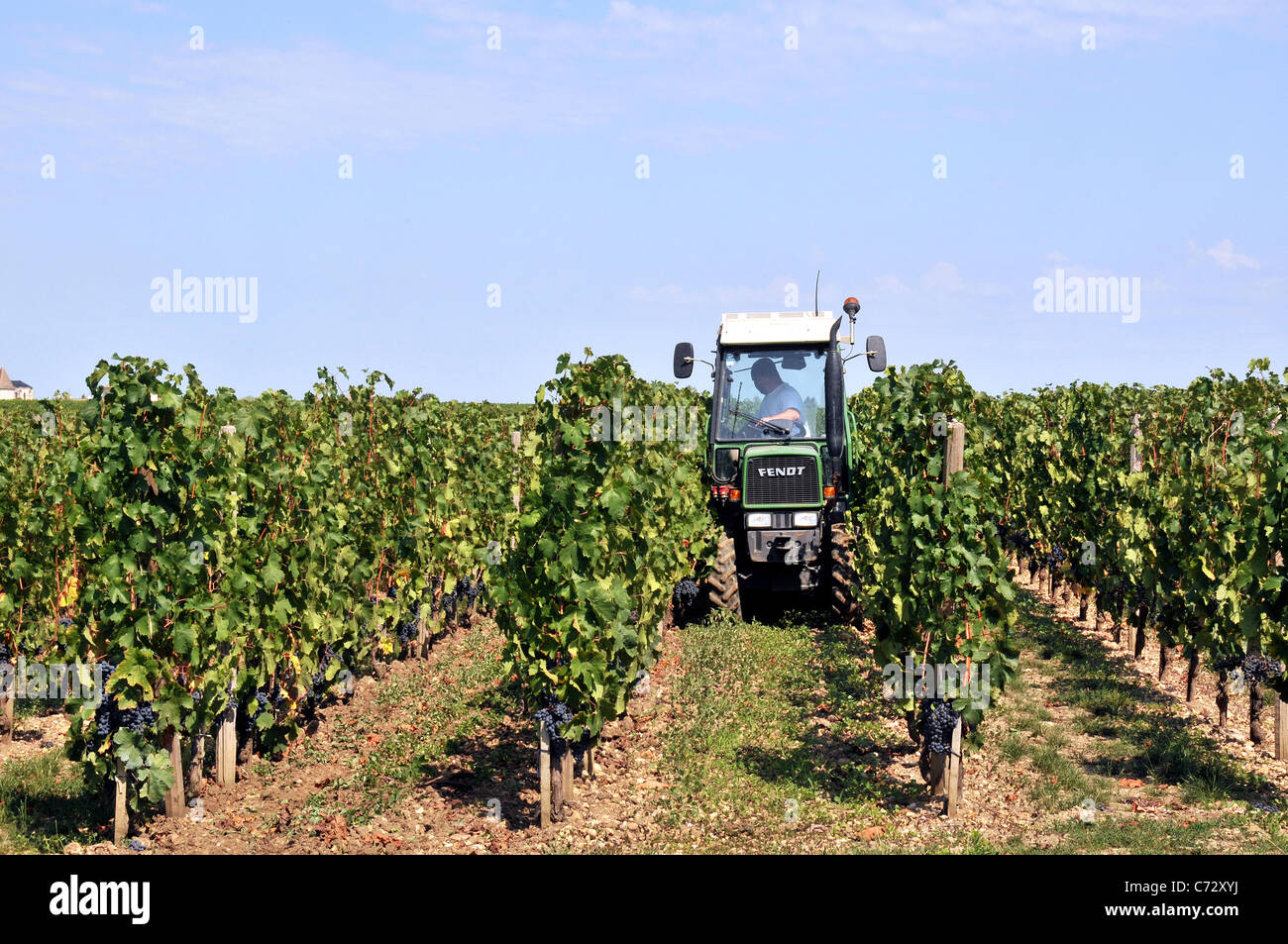 Vineyard tractor hi-res stock photography and images - Alamy