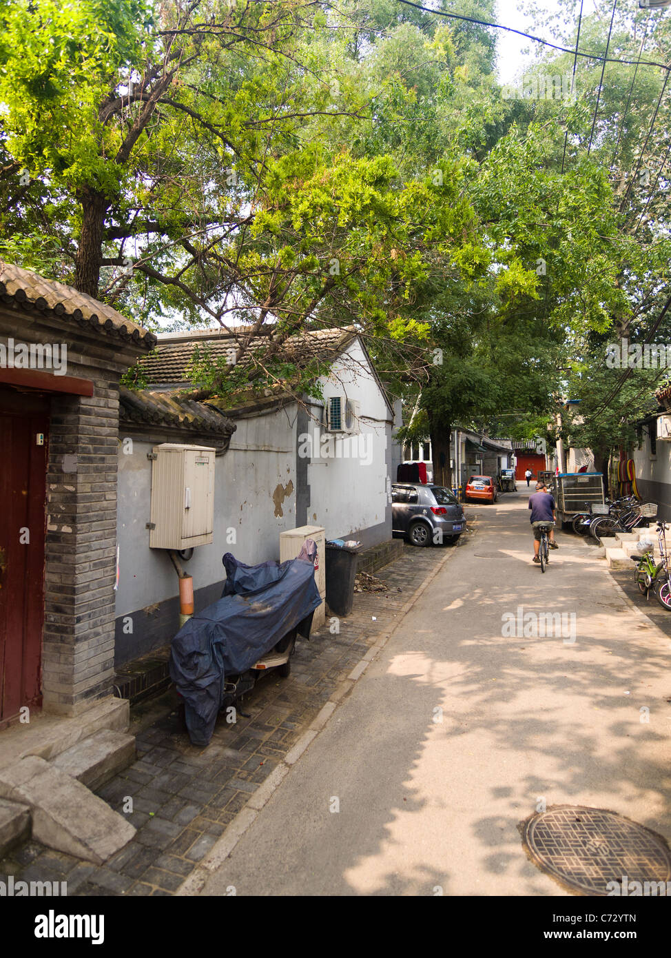 Leafy lane in Old Beijing Hutong Stock Photo - Alamy
