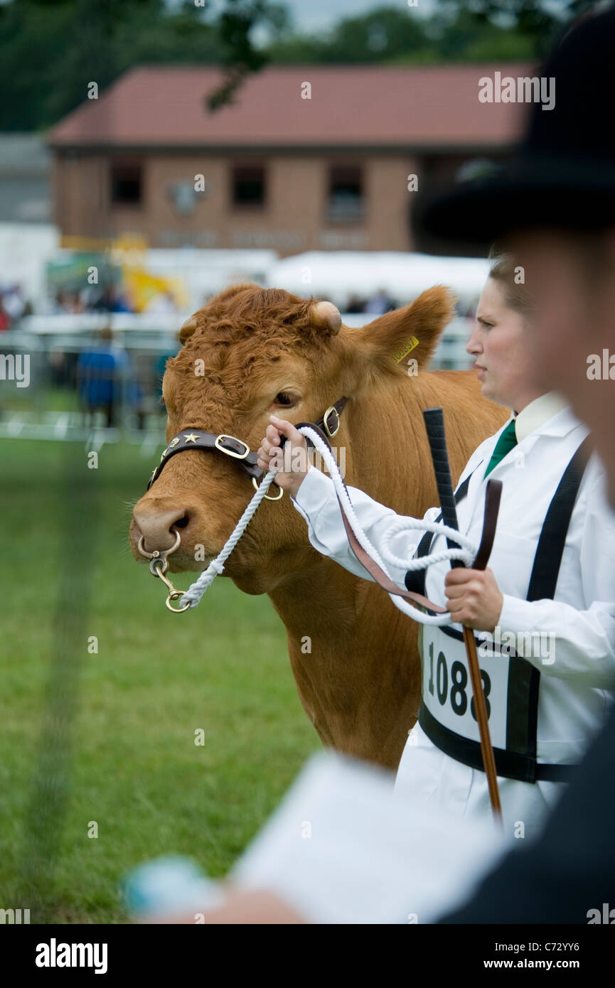 Royal show kenilworth hi-res stock photography and images - Alamy