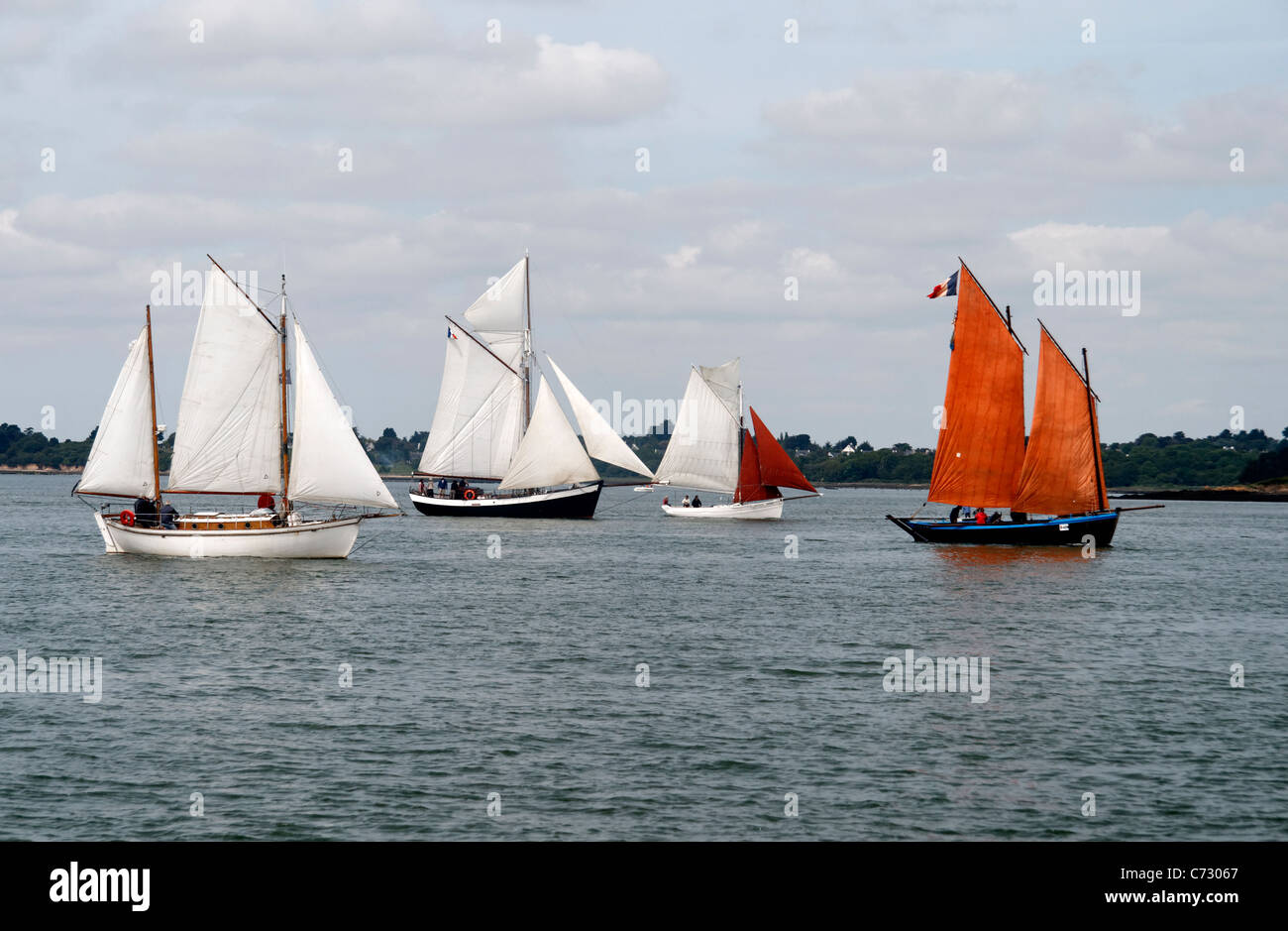 Sloop, cutters and Sinagot, Week of the Gulf of Morbihan (Brittany ...