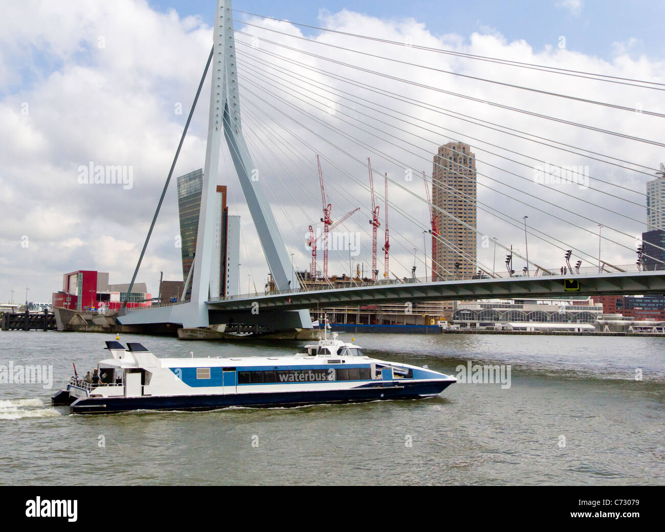 The Erasmus bridge and a waterbus on the River Nieuwe Maas, Rotterdam ...