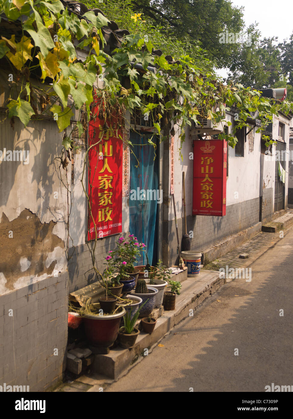 Old Beijing Hutong lanehouses with colourful flowers and banners Stock ...