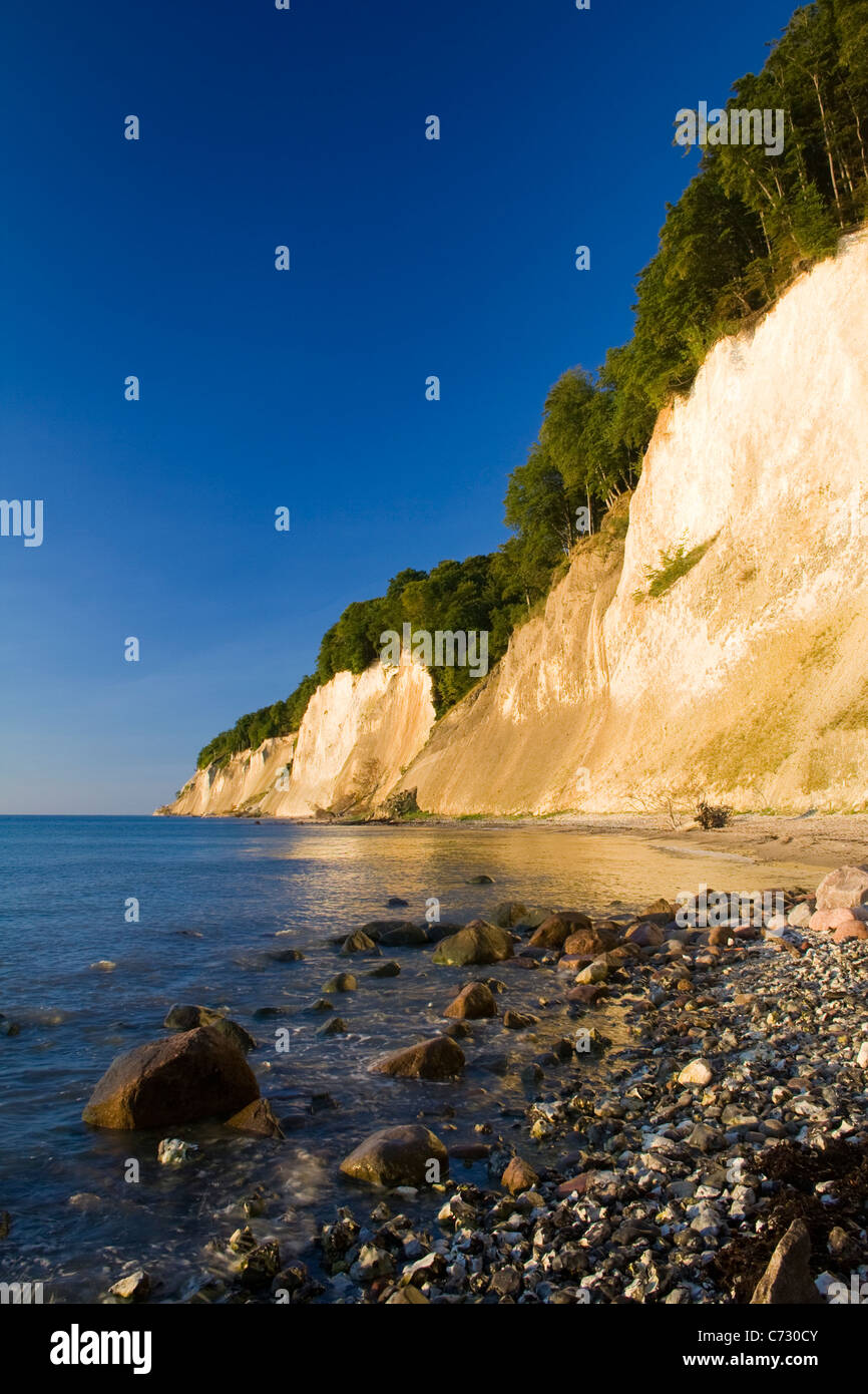 Chalk cliffs at sunrise in the Jasmund National Park, Ruegen Island ...