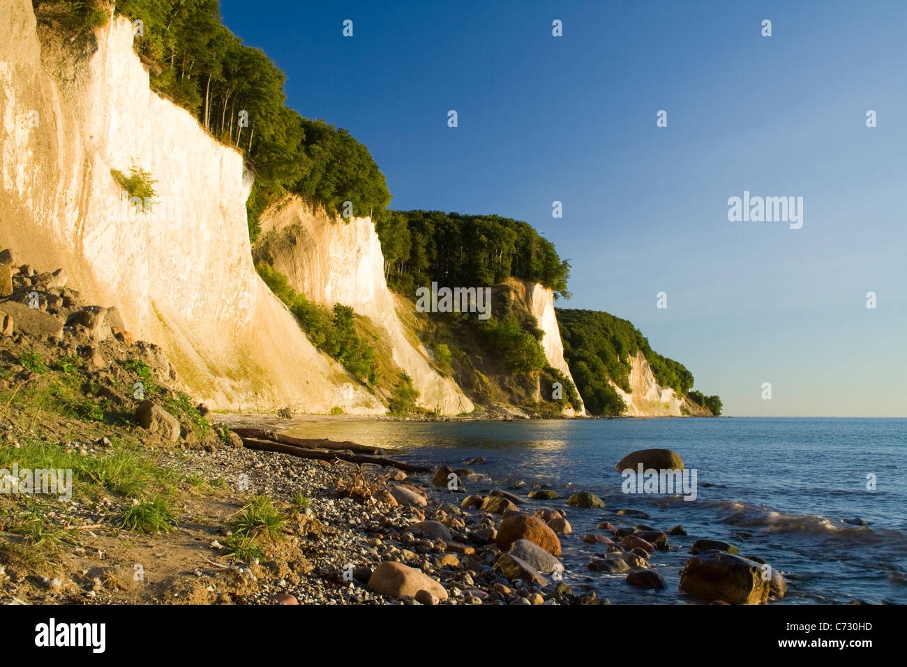 Chalk cliffs at sunrise in the Jasmund National Park, Ruegen Island ...