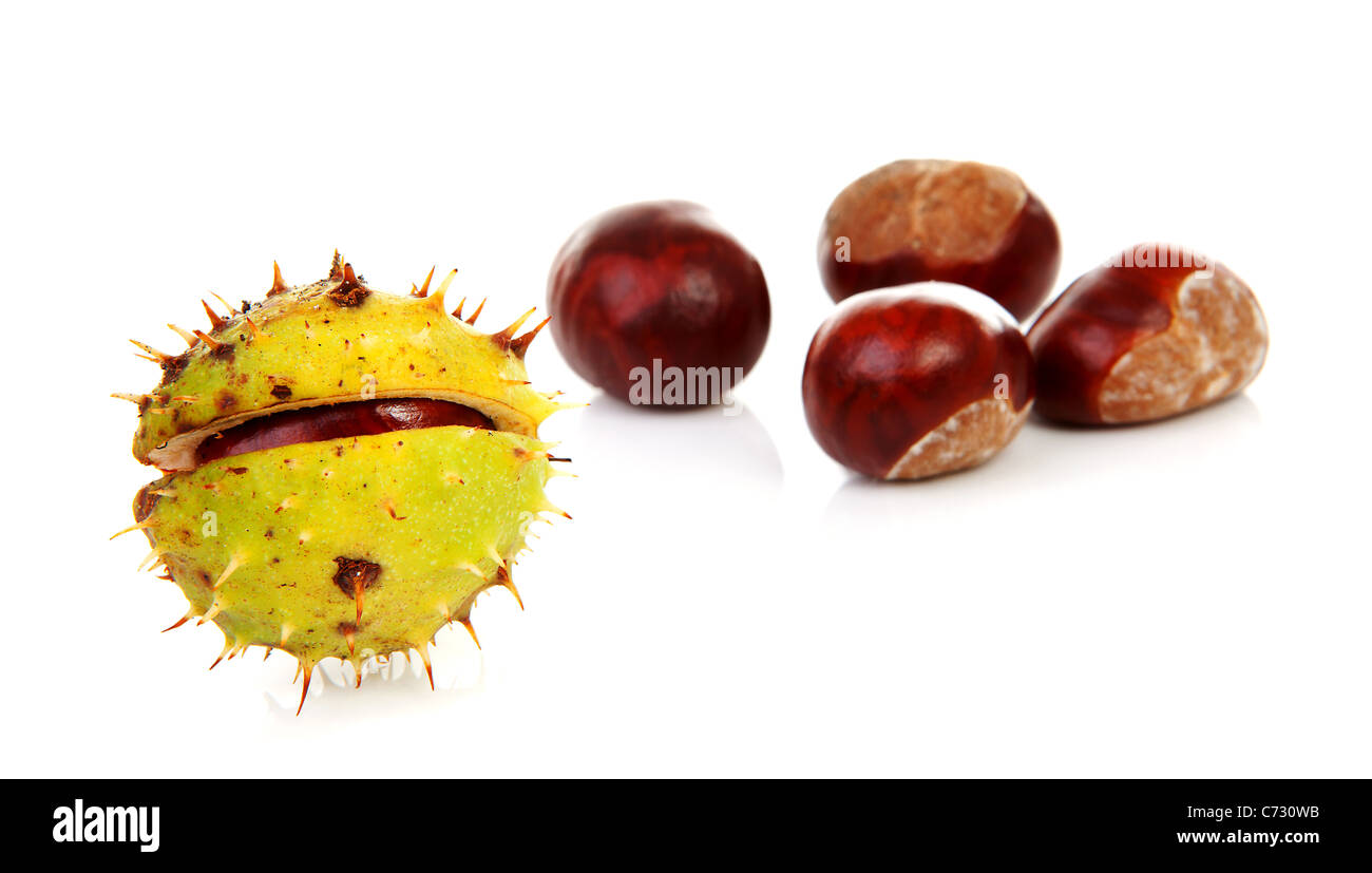 couple of chestnuts isolated on white background Stock Photo - Alamy
