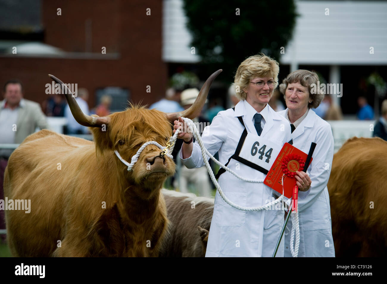 Royal highland show highland cattle hi-res stock photography and images ...