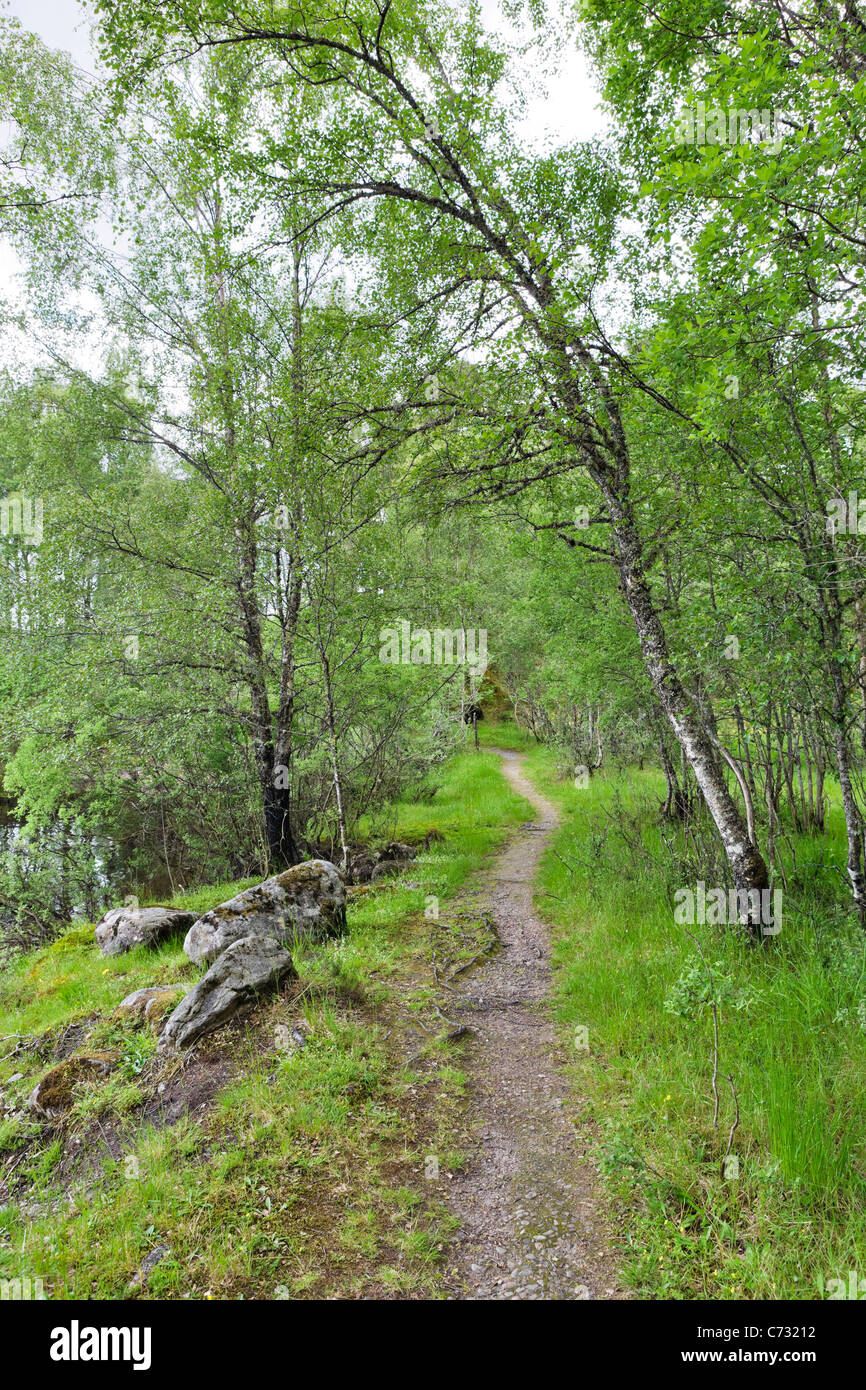 Walking woods path scotland highlands hi-res stock photography and ...