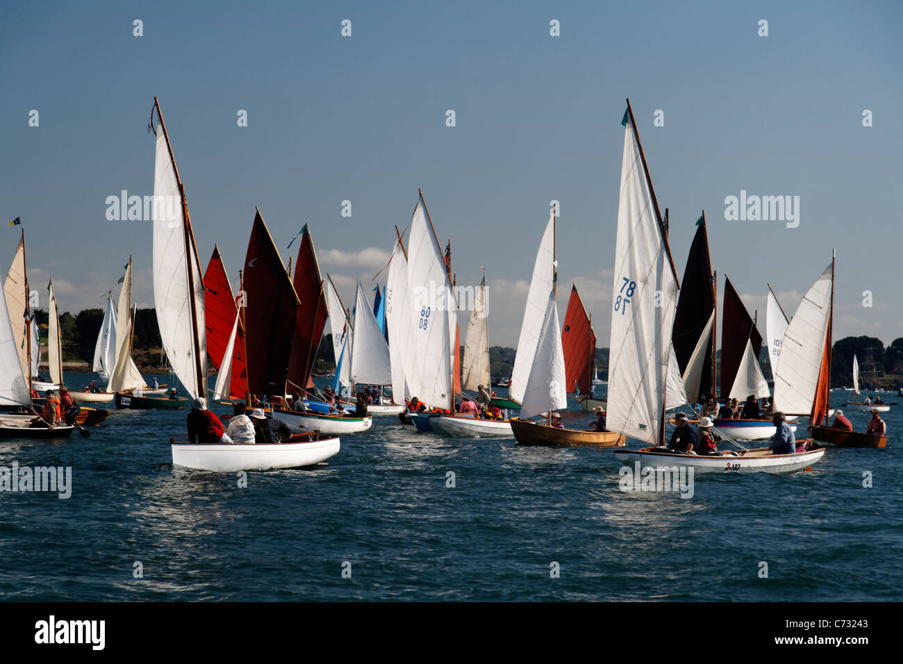 Flotilla of small sailing ships, maritime event : Week of the gulf of ...