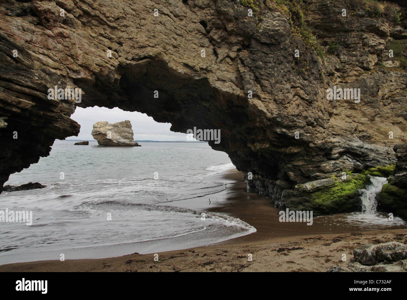 Arch rock in Point Reyes, California Stock Photo - Alamy