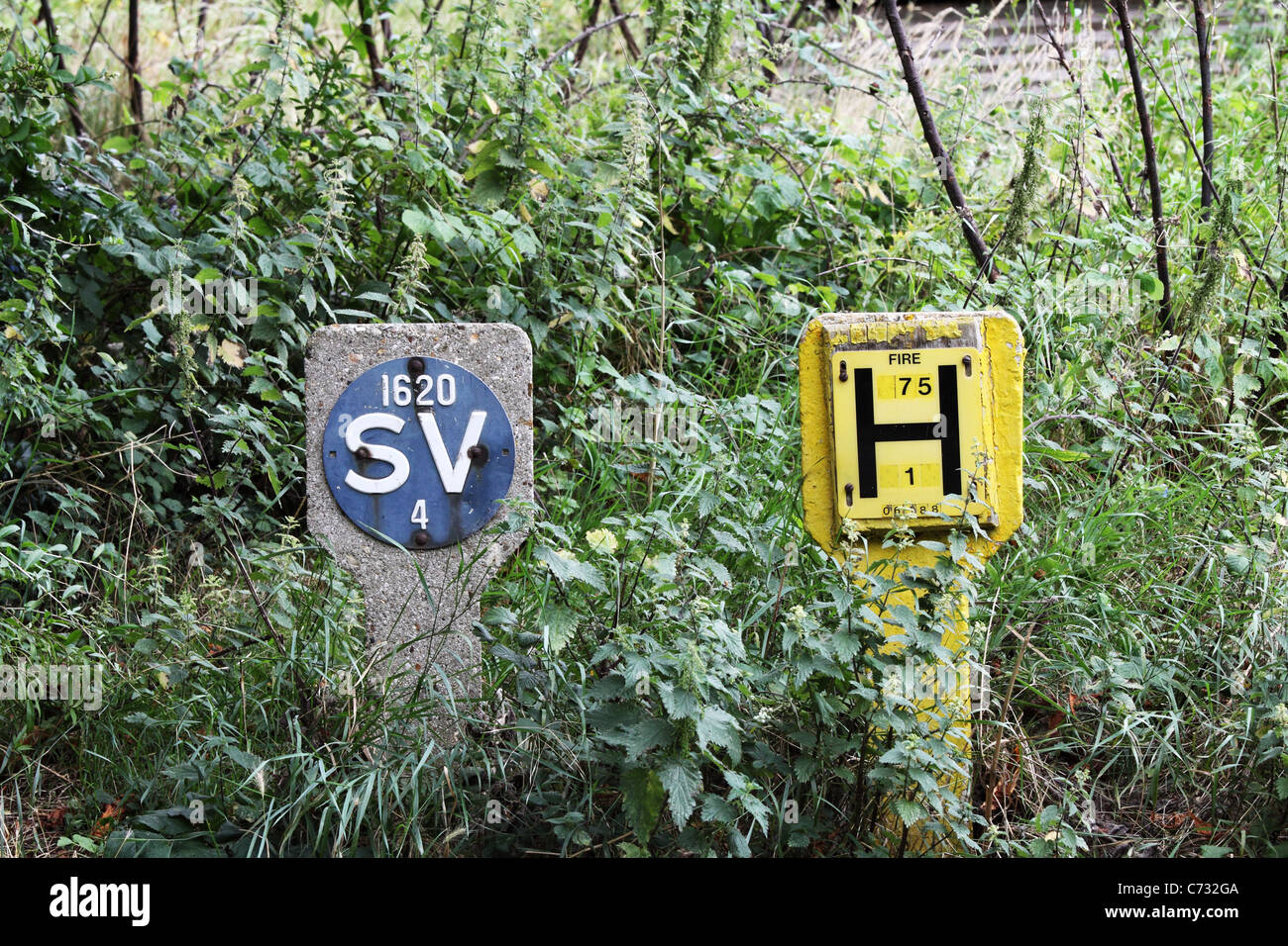 Hydrant markers hi-res stock photography and images - Alamy