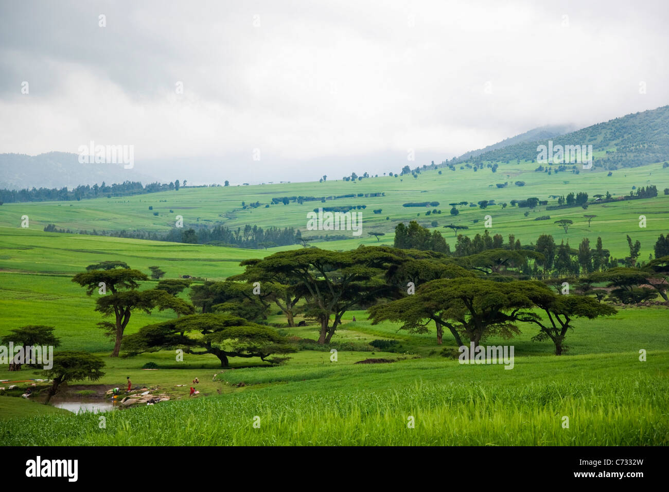 Landscape, Bale plateau, Ethiopia Stock Photo - Alamy