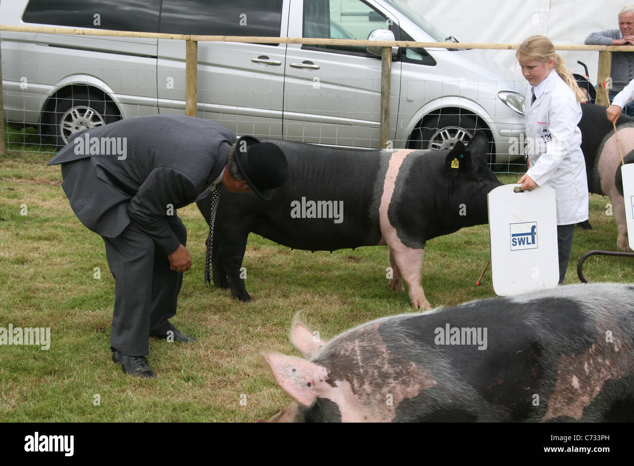 2011 agricultural pig pigs show hi-res stock photography and images - Alamy