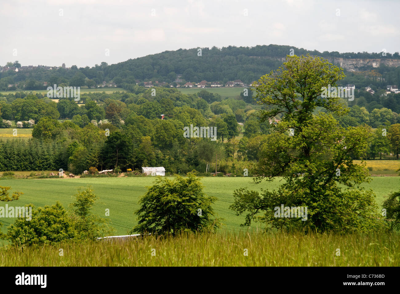 Farmland in spring, near Vire city (Manche, Normandy, France, Europe ...