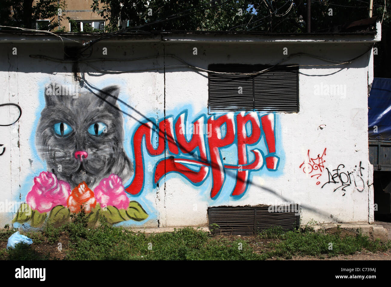 cat - graffiti on the transformer station Stock Photo - Alamy
