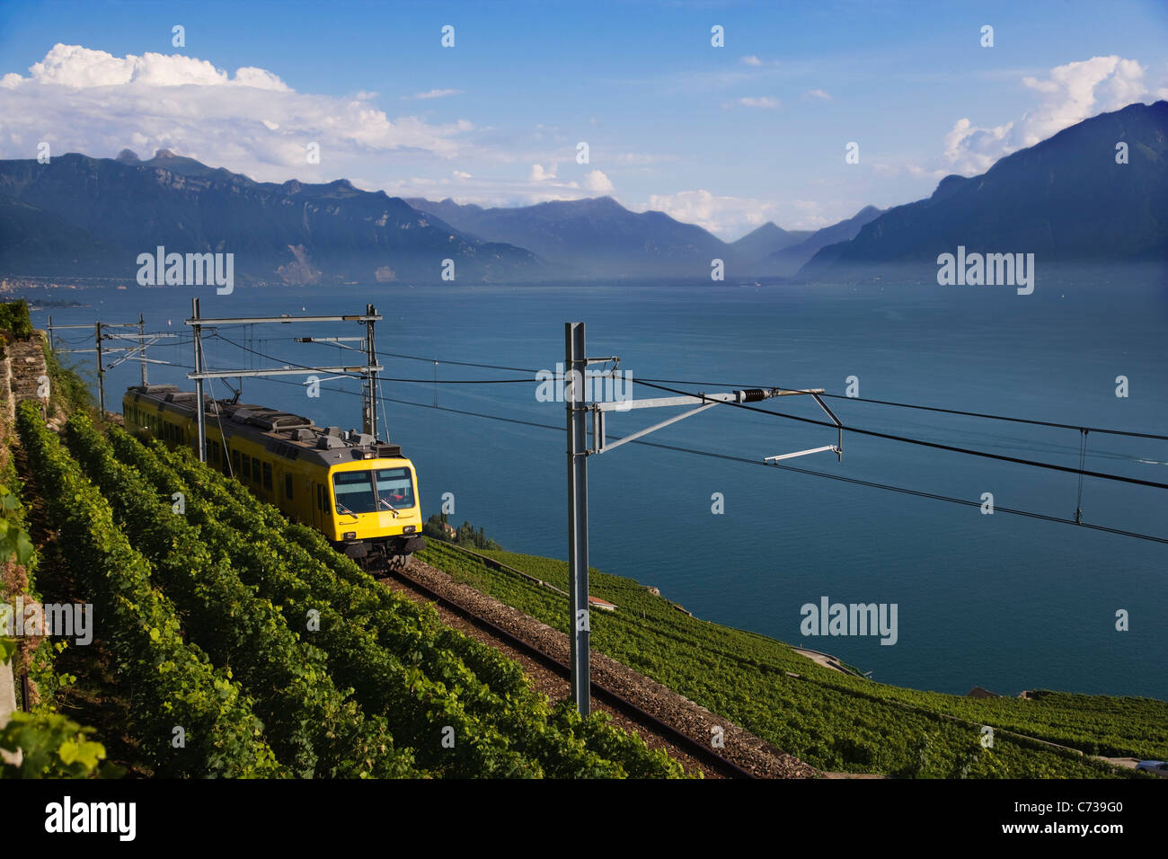 Train de Vignes, Lavaux, Canton of Vaud, Switzerland Stock Photo - Alamy