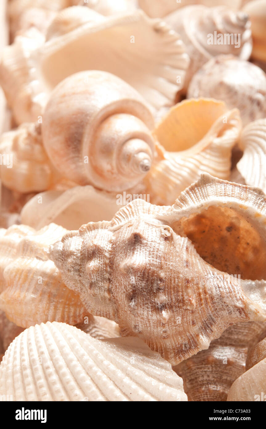 Seaside background hi-res stock photography and images - Alamy