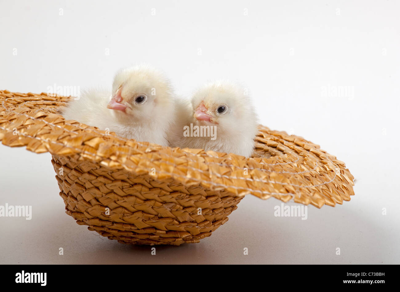 Straw clutch hat hi-res stock photography and images - Alamy