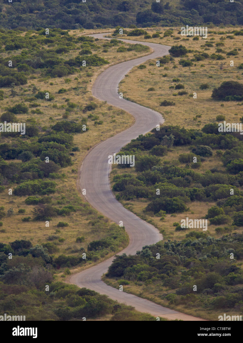 Winding road leading up a hill at Addo Elephant Park, South Africa ...